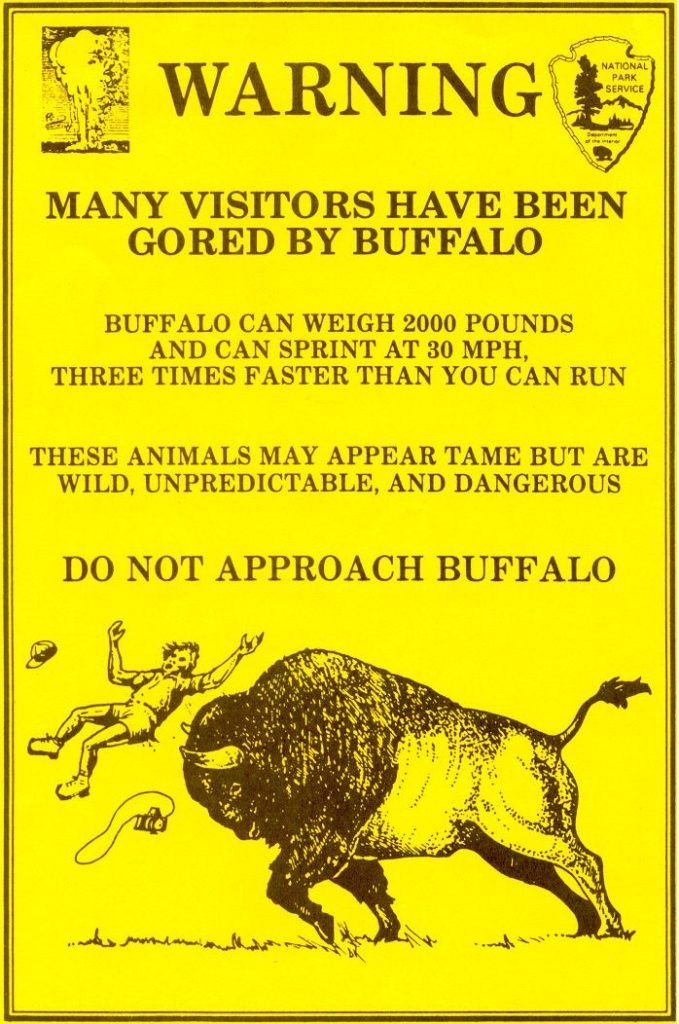 Buffalo Hunting Safety Info |Hi Mountain Outfitting Bison & Buffalo ...
